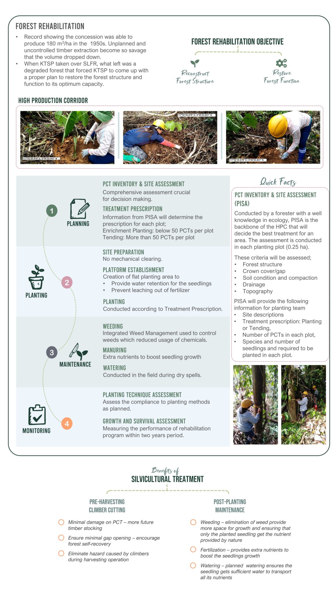 Forest Rehabilitation | KTS Plantation Sdn Bhd